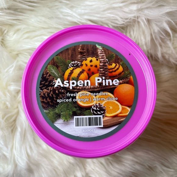 Pink Zebra | Other | Scent Wax Aspen Pine | Poshmark